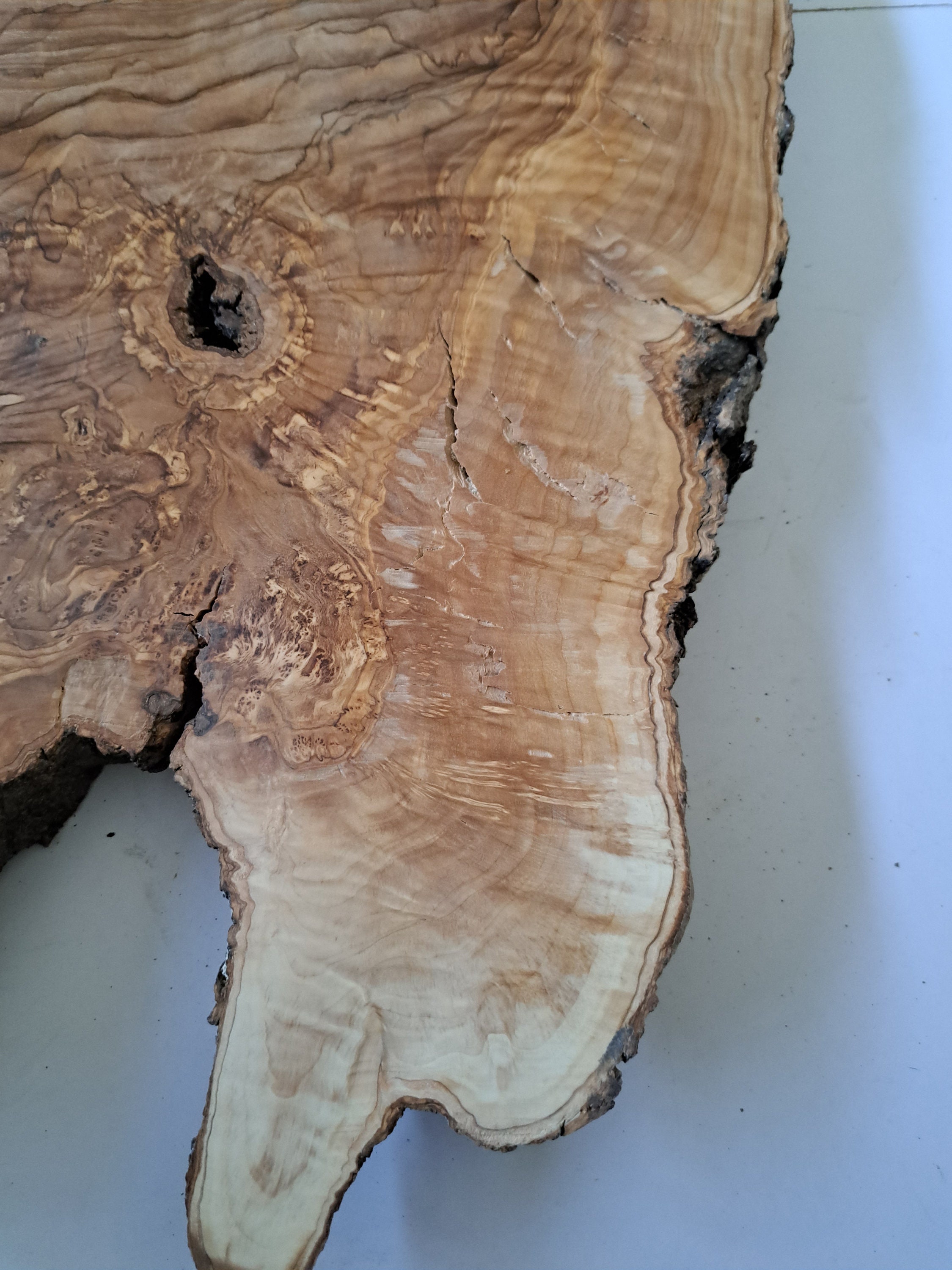 29" Olive Live Edge Wood Slab Live Edge Olive Burl Hole Wood Slice Huge ...