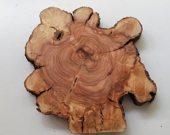 Live Edge Wood | Etsy