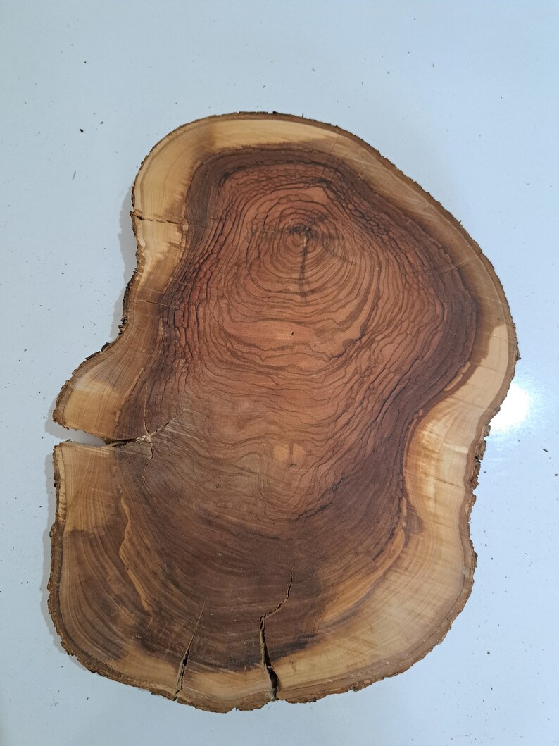 Olive Live Edge Wood Slab Olive Live Edge Log Wood Cookie Burl Slice ...