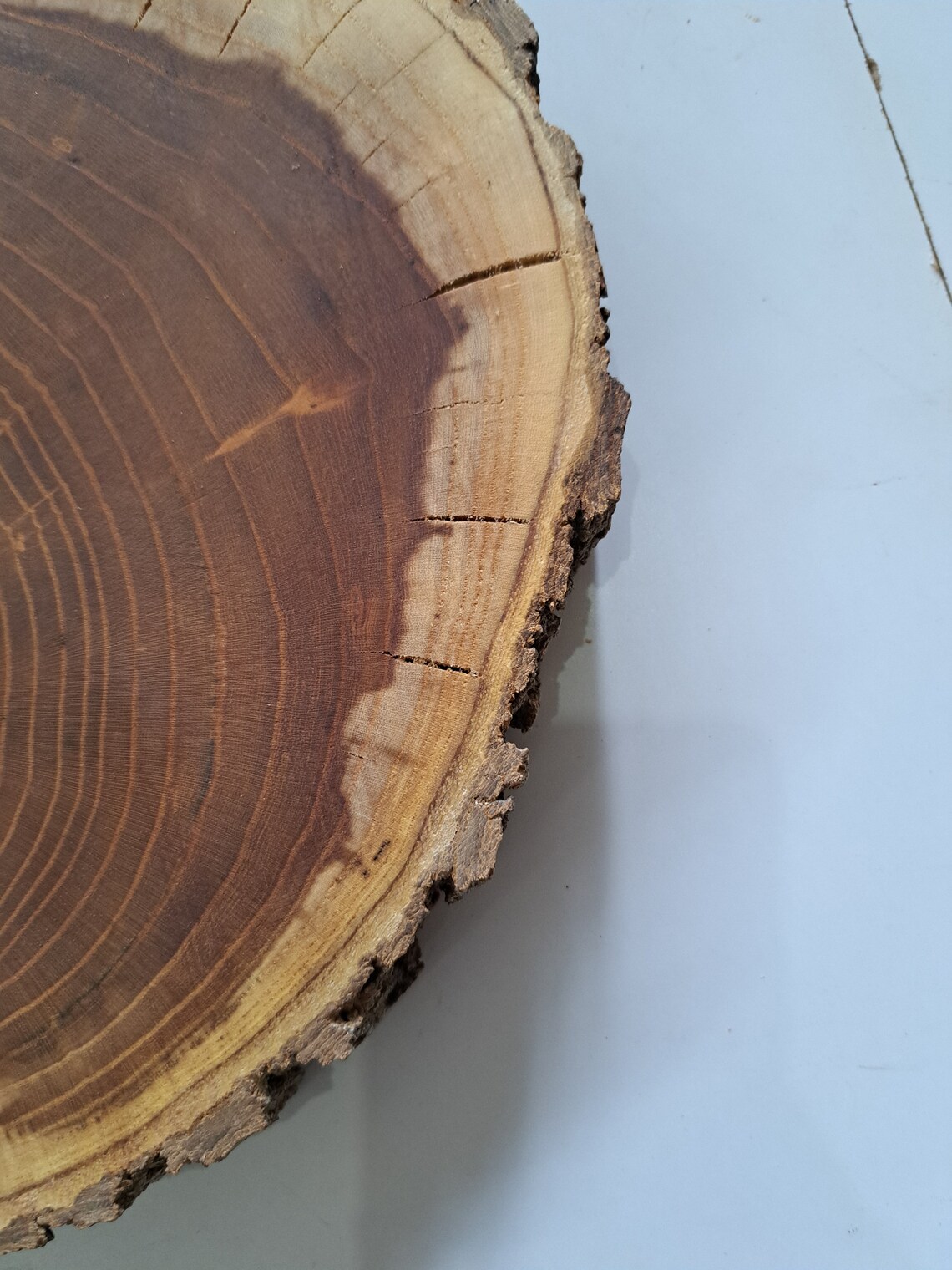 Mulberry Wood Log Slice Live Edge Cookie Naturel Round Tree - Etsy