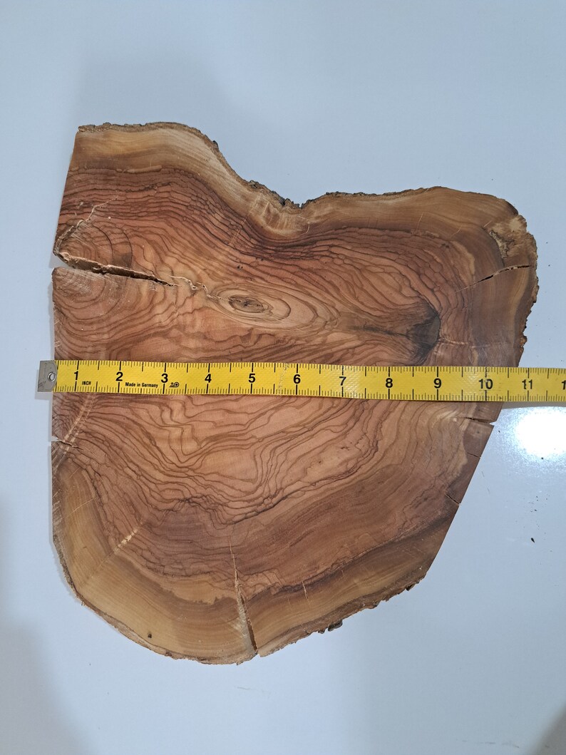 Olive Live Edge Wood Slab Olive Live Edge Log Wood Cookie Burl Slice ...