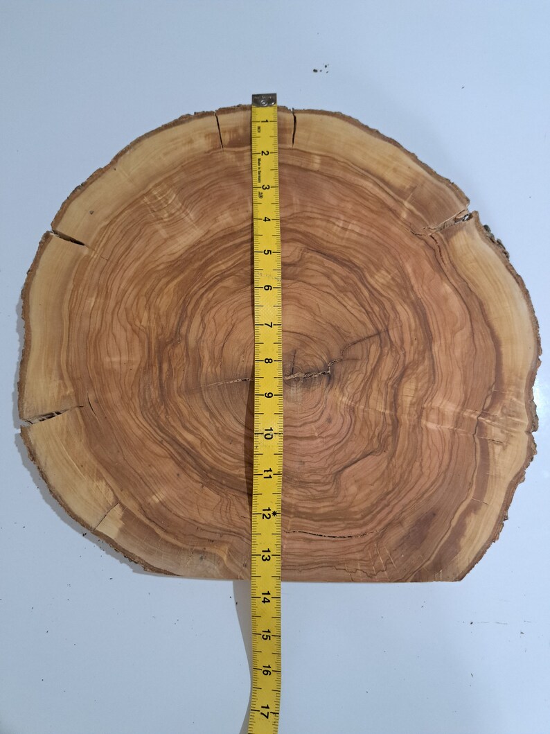 Olive Live Edge Wood Slab Olive Live Edge Log Wood Cookie Burl Slice ...