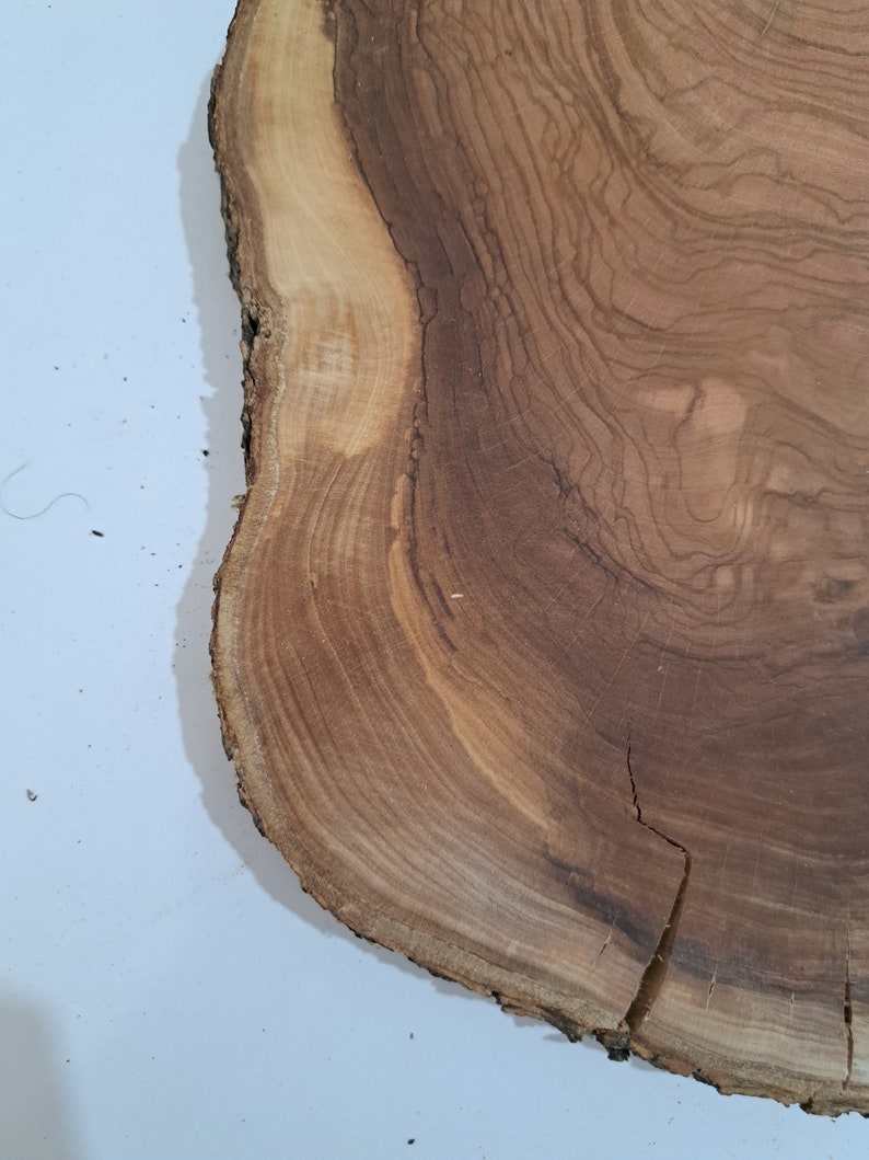 Olive Live Edge Wood Slab Olive Live Edge Log Wood Cookie Burl Slice ...