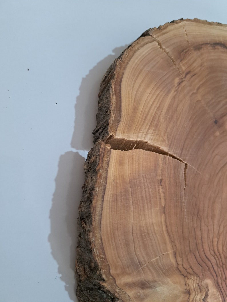 Olive Live Edge Wood Slab Olive Live Edge Log Wood Cookie Burl Slice ...