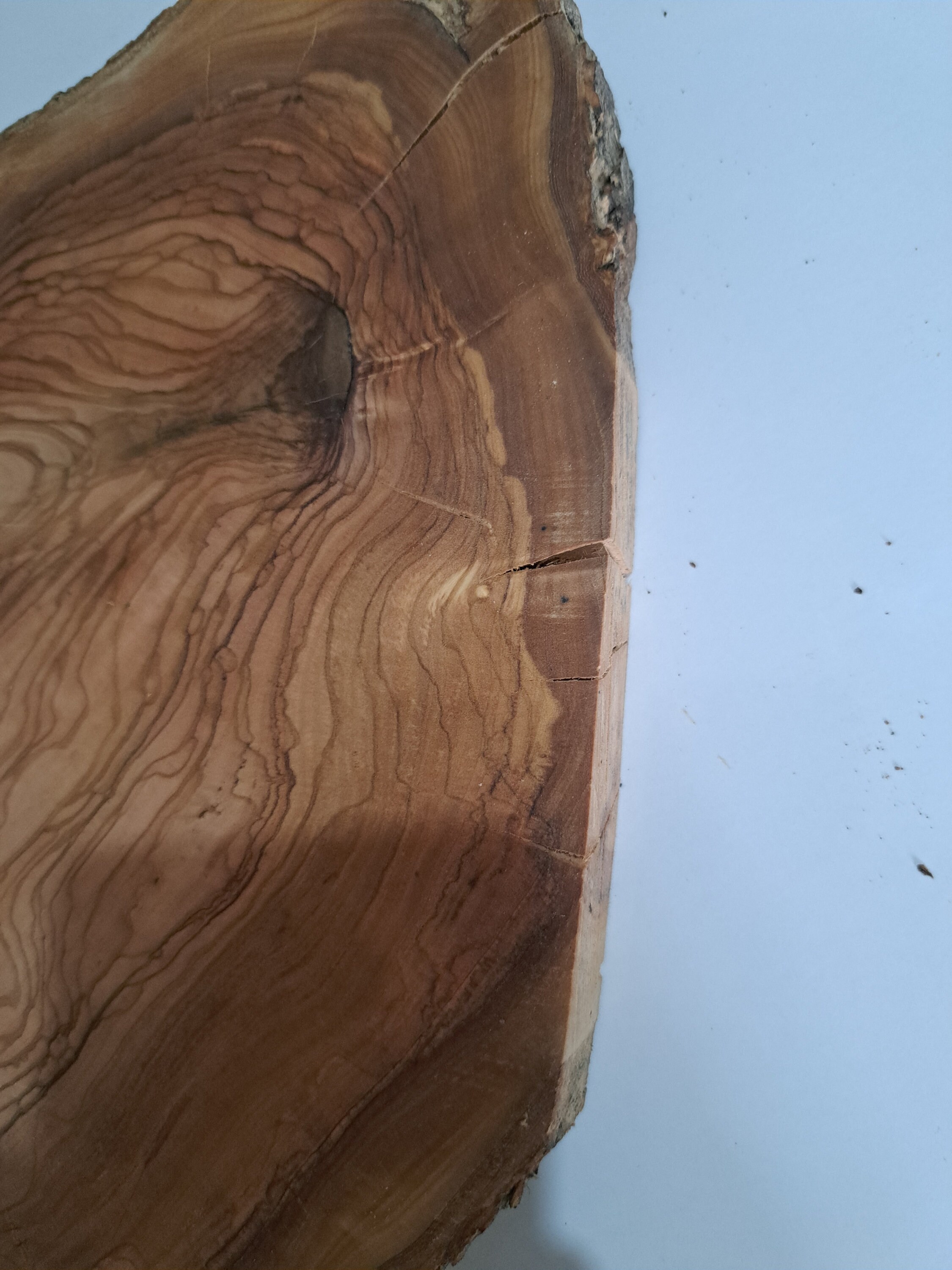 Olive Live Edge Wood Slab Olive Live Edge Log Wood Cookie Burl Slice ...