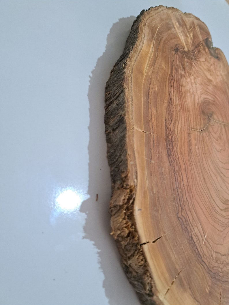 Olive Live Edge Wood Slab Olive Live Edge Log Wood Cookie Burl Slice ...