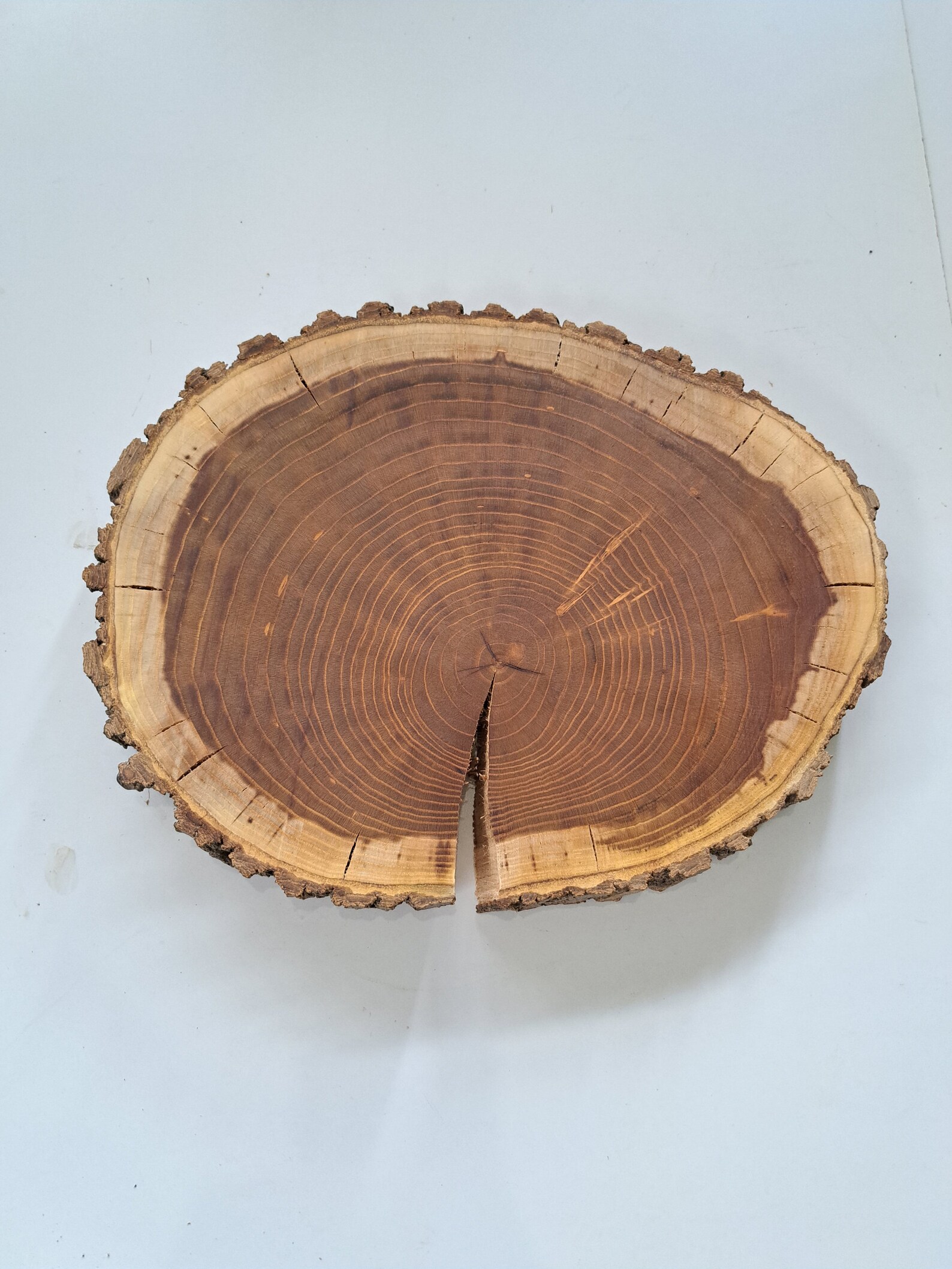 Mulberry Wood Log Slice Live Edge Cookie Naturel Round Tree - Etsy