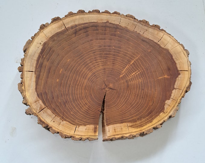Mulberry Wood Log Slice Live Edge Cookie Naturel Round Tree Log Slab ...