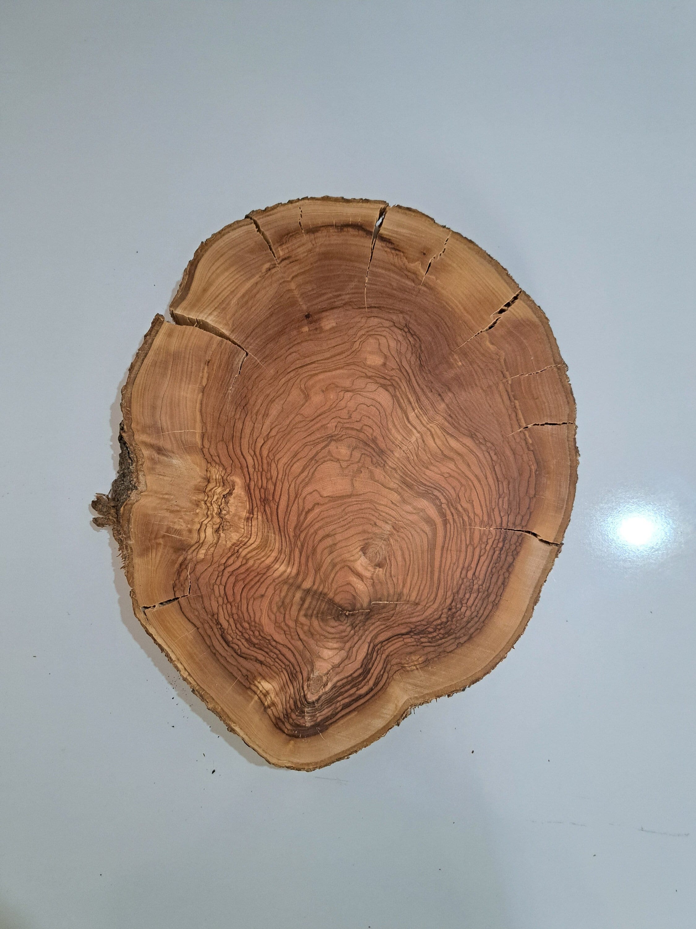 Olive Live Edge Wood Slab Olive Live Edge Log Wood Cookie Burl Slice ...