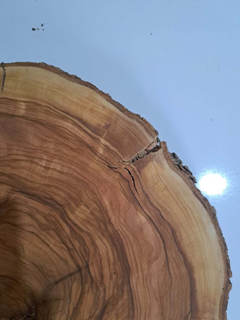 Olive Live Edge Wood Slab Olive Live Edge Log Wood Cookie Burl Slice ...