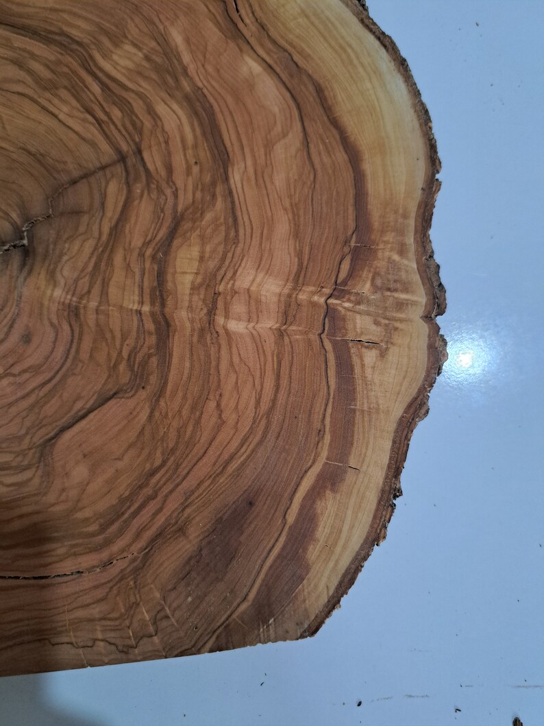 Olive Live Edge Wood Slab Olive Live Edge Log Wood Cookie Burl Slice ...
