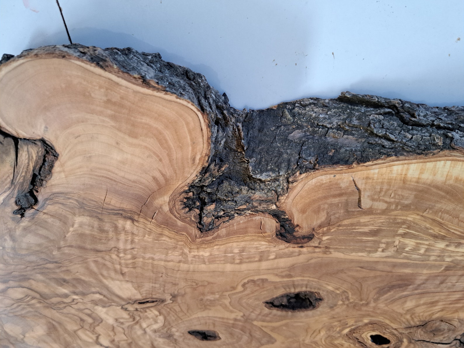 28 Olive Live Edge Wood Slab Live Edge Olive Burl Hole Wood Slice Huge ...