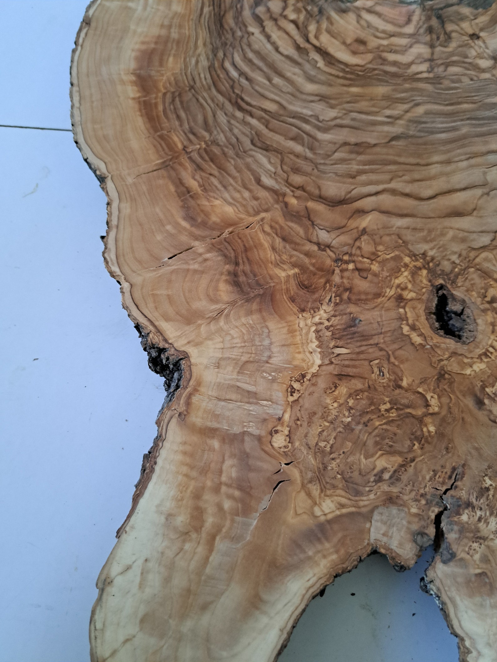 29" Olive Live Edge Wood Slab Live Edge Olive Burl Hole Wood Slice Huge ...