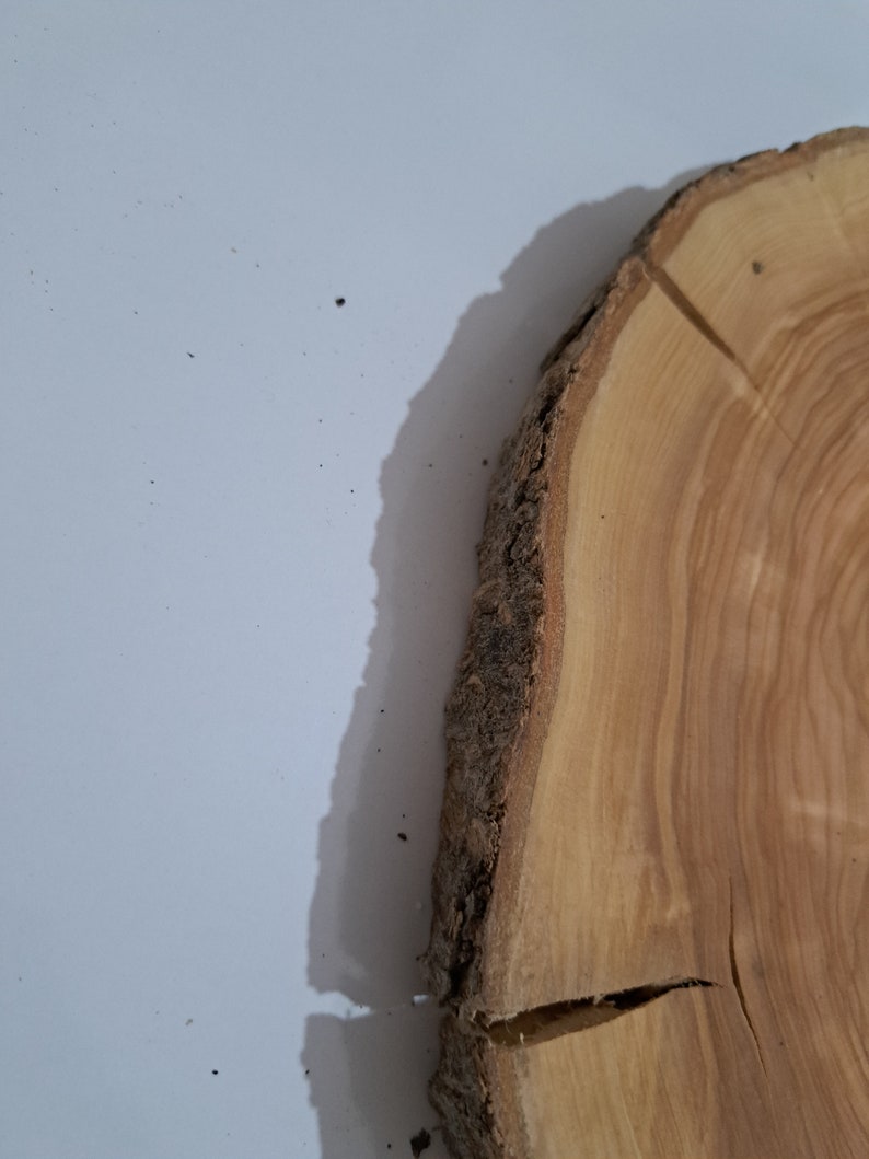 Olive Live Edge Wood Slab Olive Live Edge Log Wood Cookie Burl Slice ...