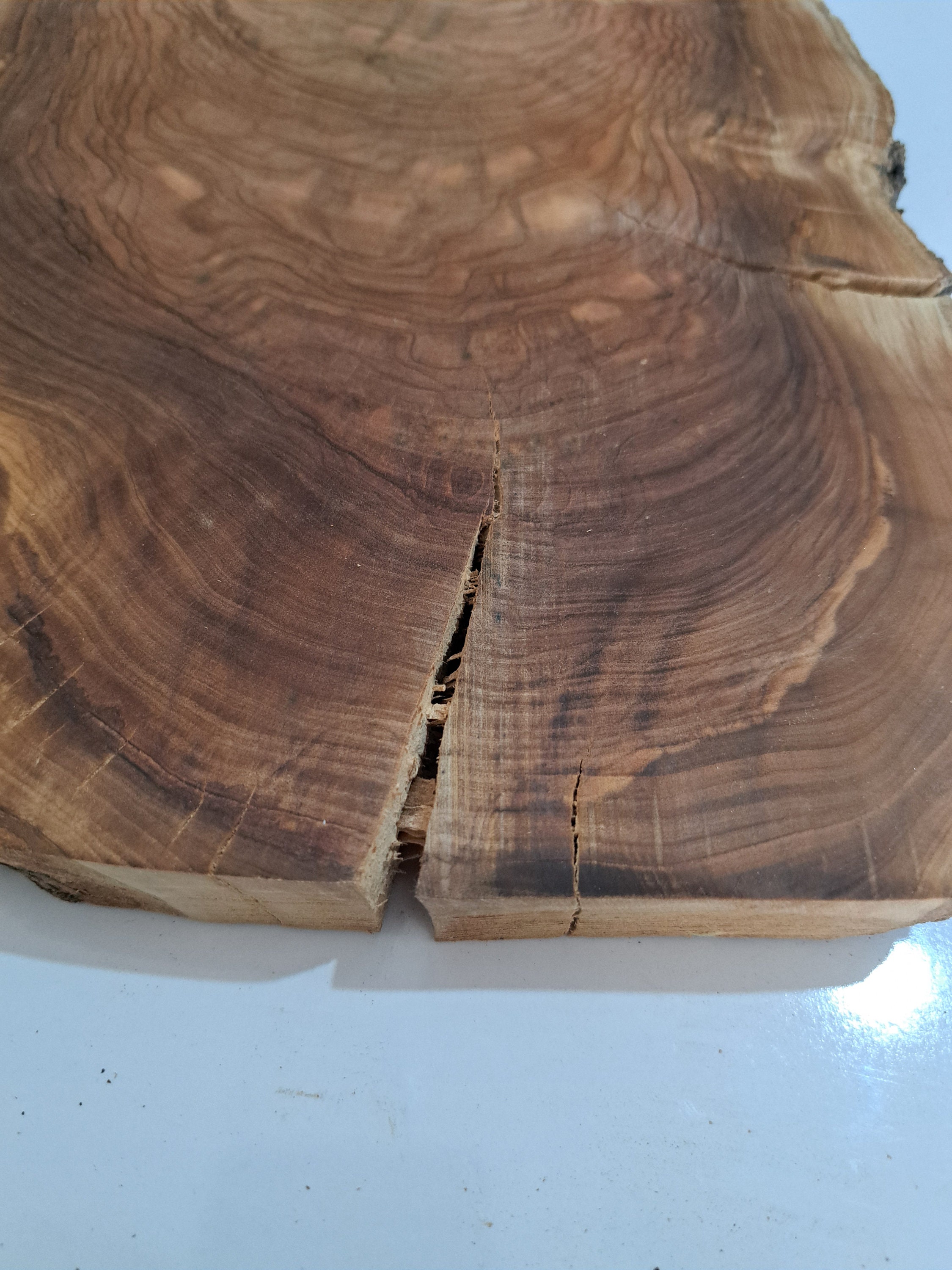 Olive Live Edge Wood Slab Olive Live Edge Log Wood Cookie Burl Slice ...