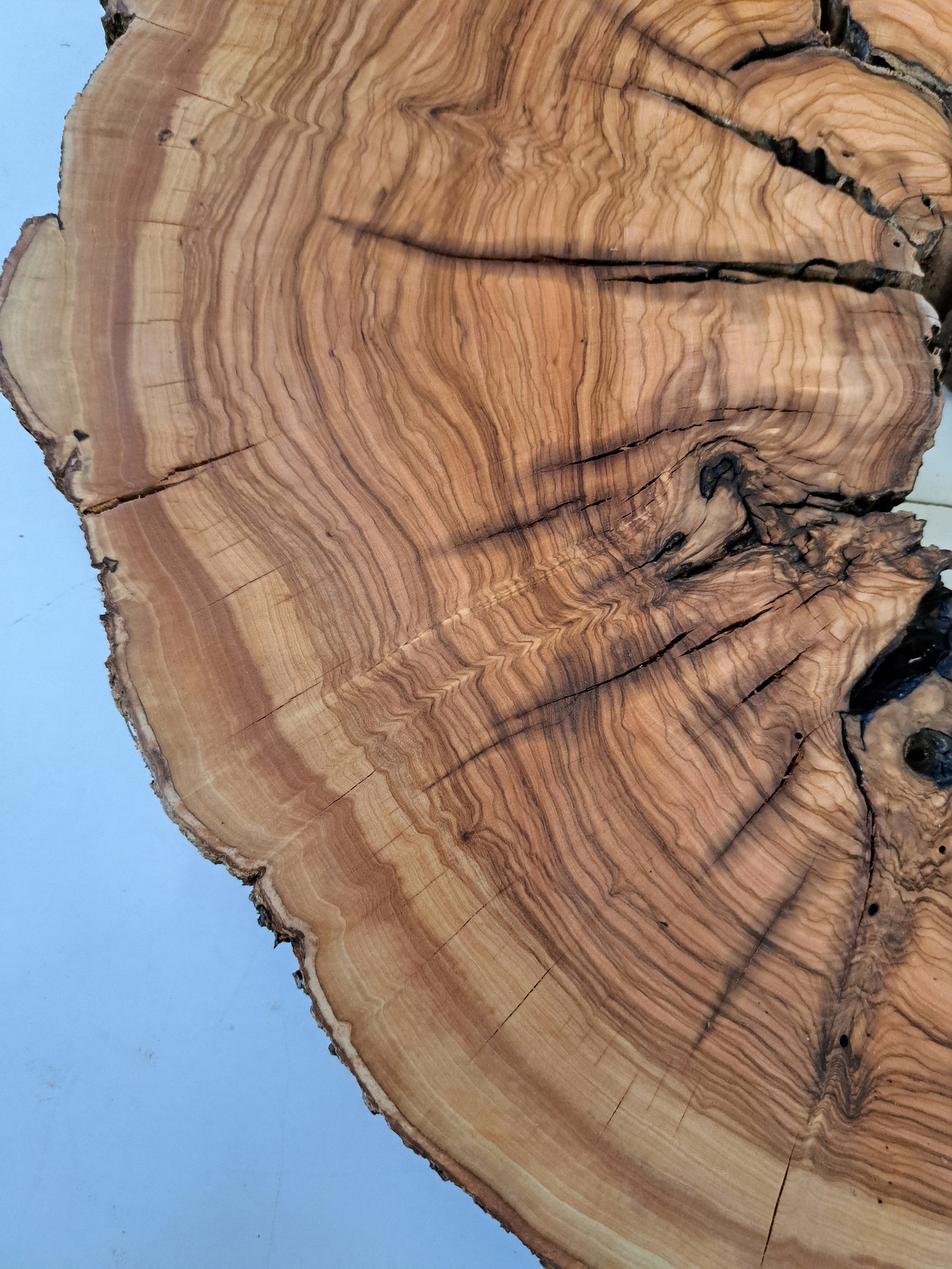 20 Olive Live Edge Wood Slab Live Edge Olive Burl Hole Wood Slice Huge ...