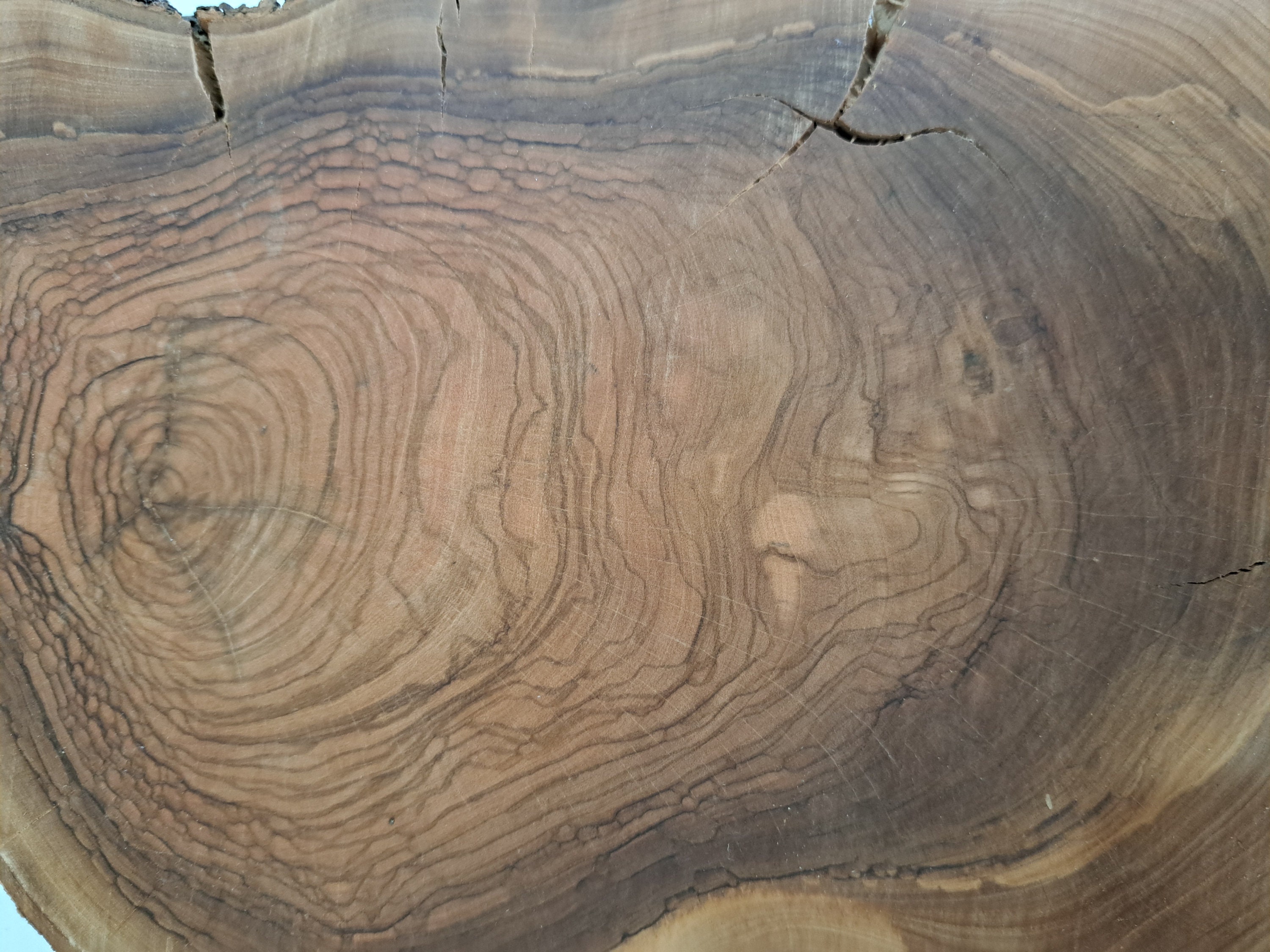 Olive Live Edge Wood Slab Olive Live Edge Log Wood Cookie Burl Slice ...