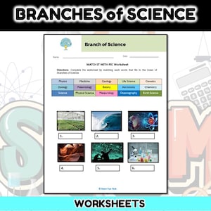 Branches of Science Worksheets | STEM Activities | Educational ...