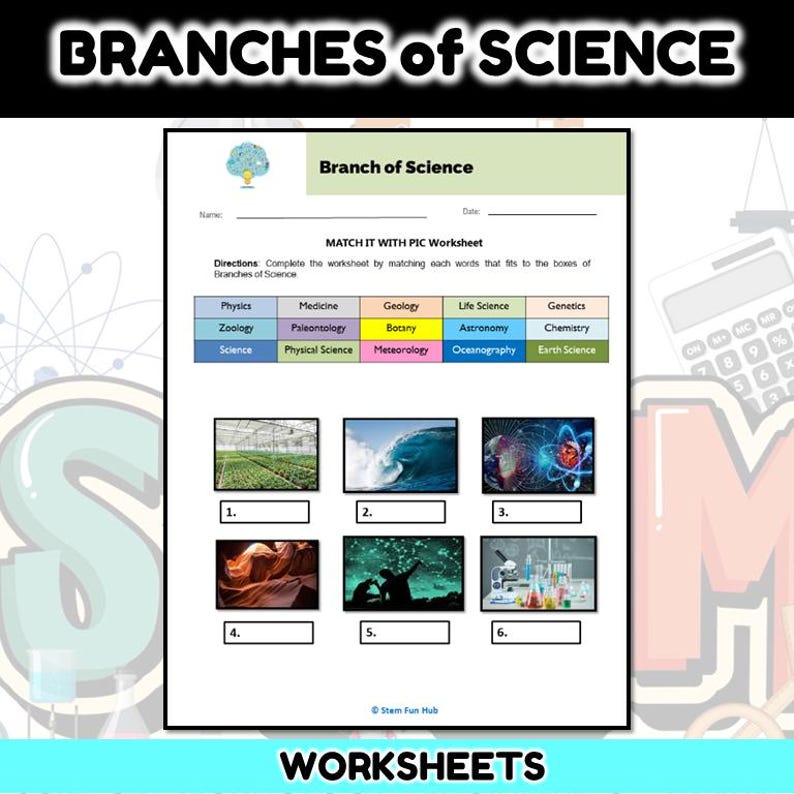 Branches of Science Worksheets | STEM Activities | Educational ...