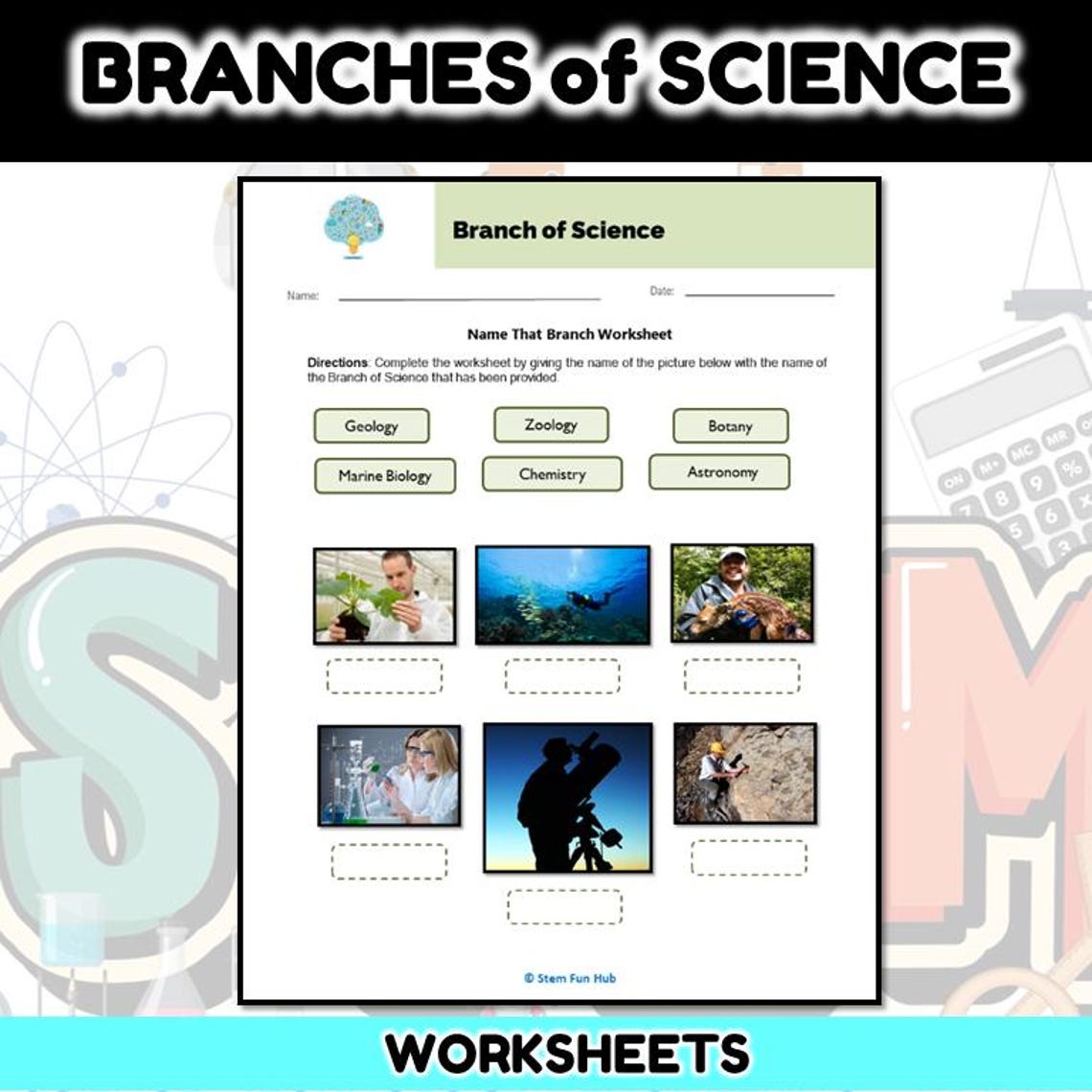 Branches of Science Worksheets | STEM Activities | Educational ...