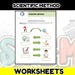 The Scientific Method Lesson Bundle | Presentation & Lesson Plan ...