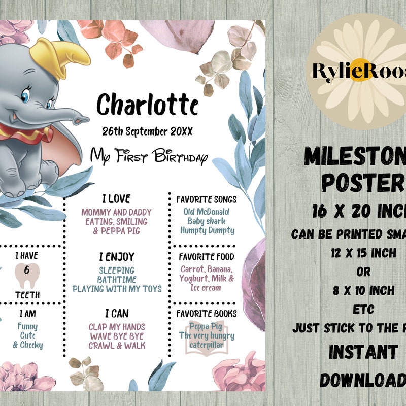 Dumbo 1st Birthday - Etsy