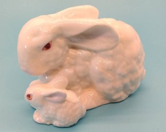 Taiwan Rabbit - Etsy