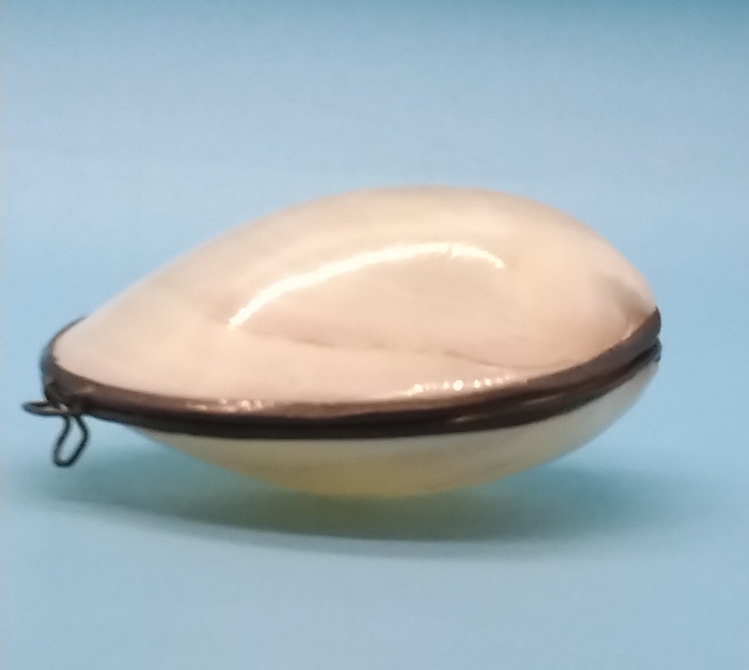 Trinket Box, Shell, Sea Shell, Real Clam Shell, Polished Mother of ...