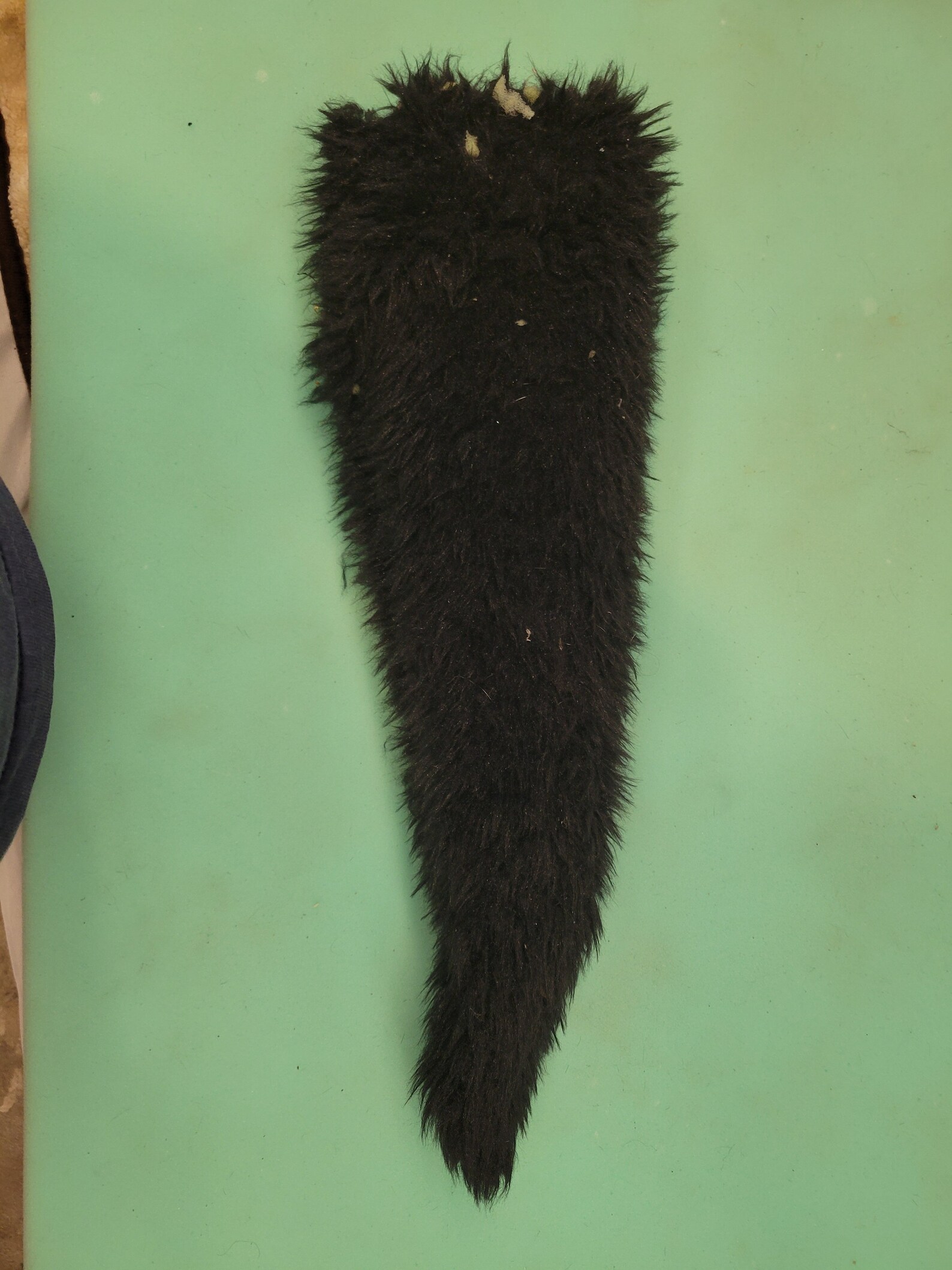 Raptor Fursuit Tail (black) - Etsy