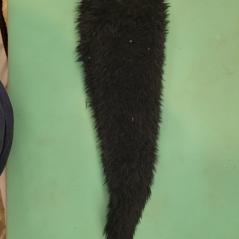 Raptor Fursuit - Etsy