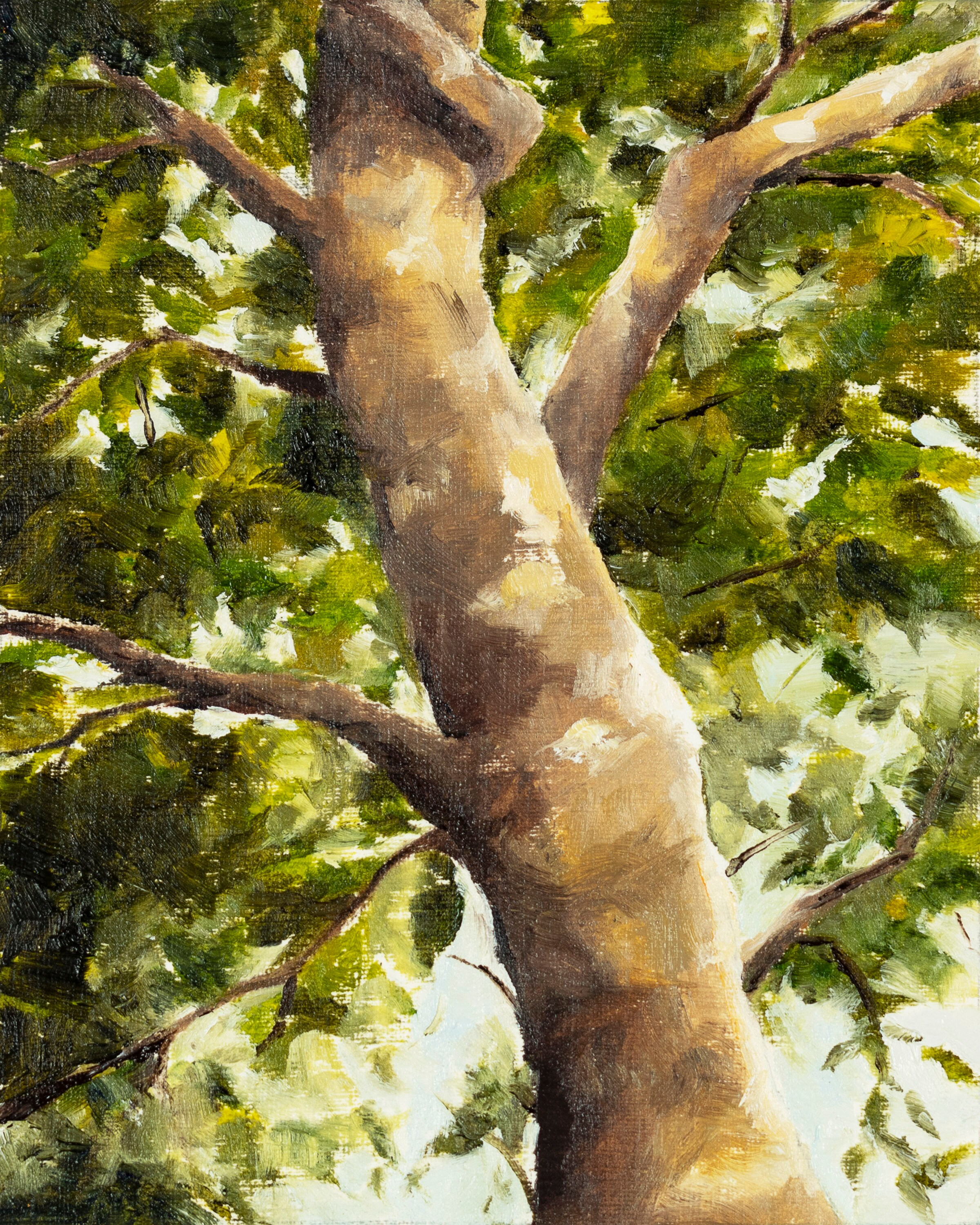 Art Print of "dappled", Tree Painting, Leaves and Branches ...