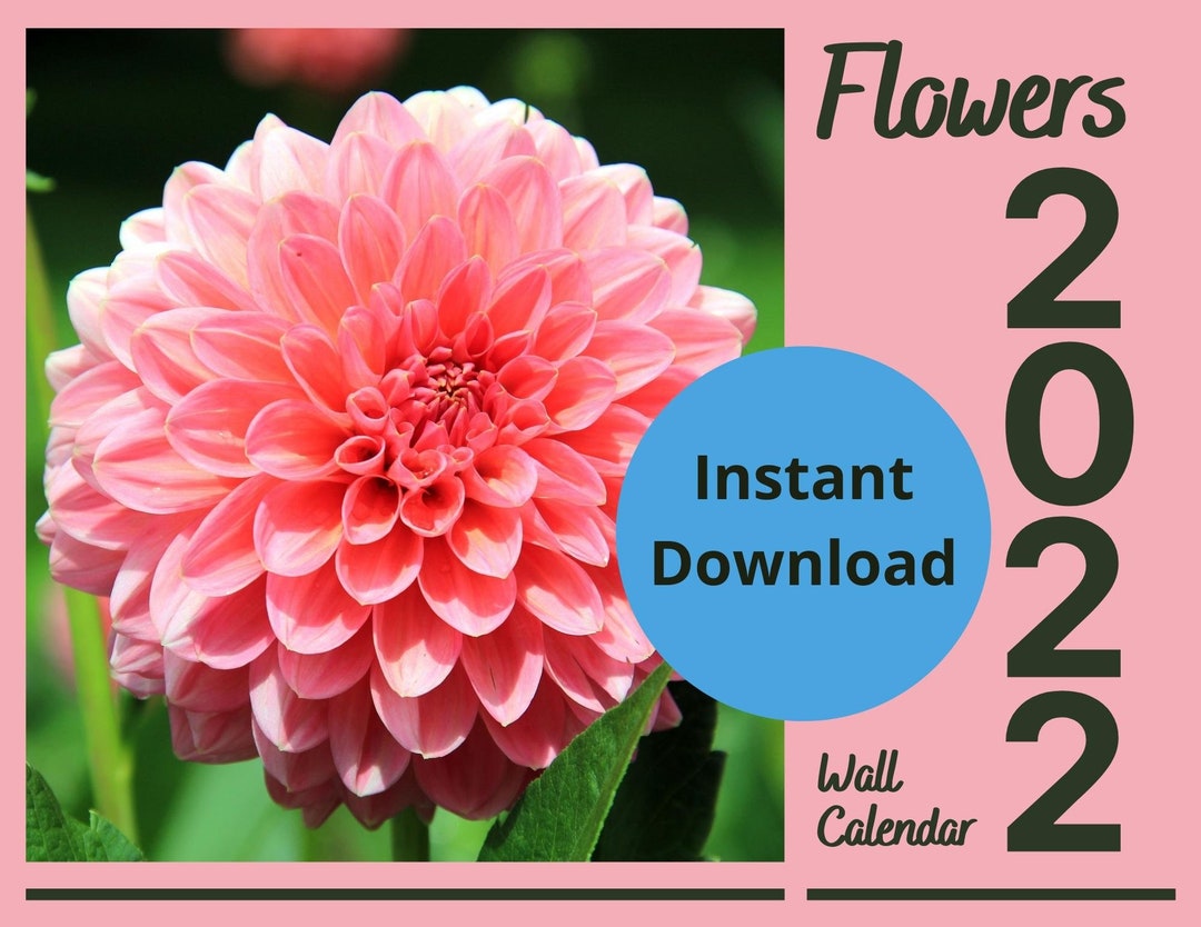 2022 Pretty Flowers Wall Calendar Printable Roses, Lily, Sunflower Wall ...