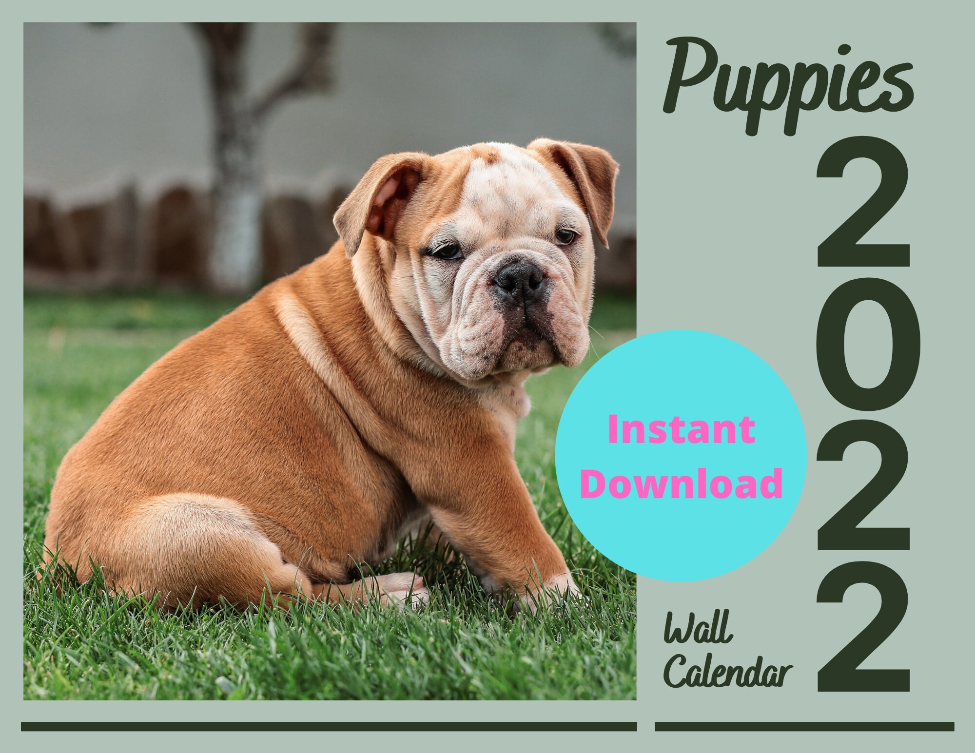 Puppies Calendar 2022