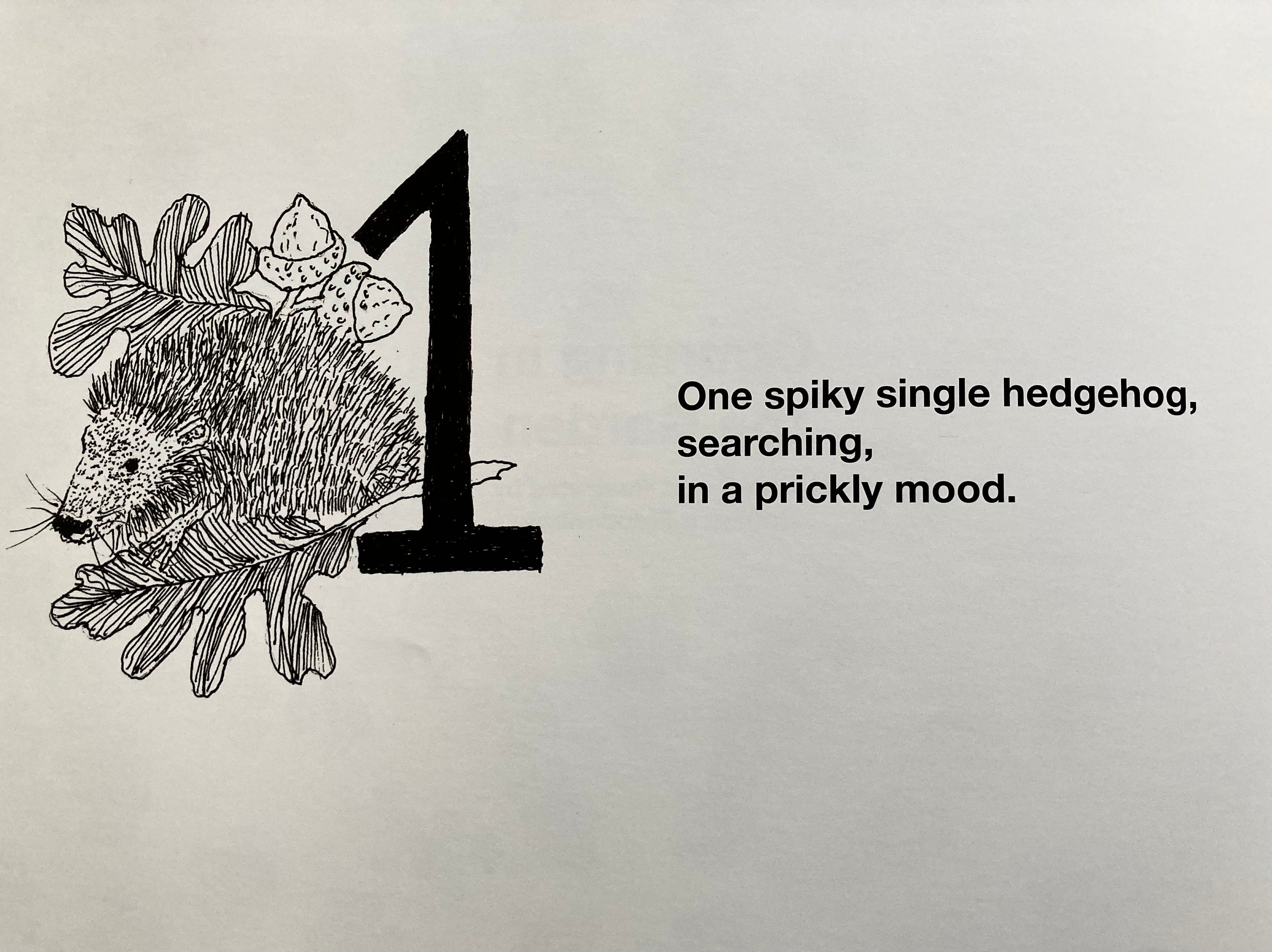 Counting in the Garden (children's Book) - Etsy UK