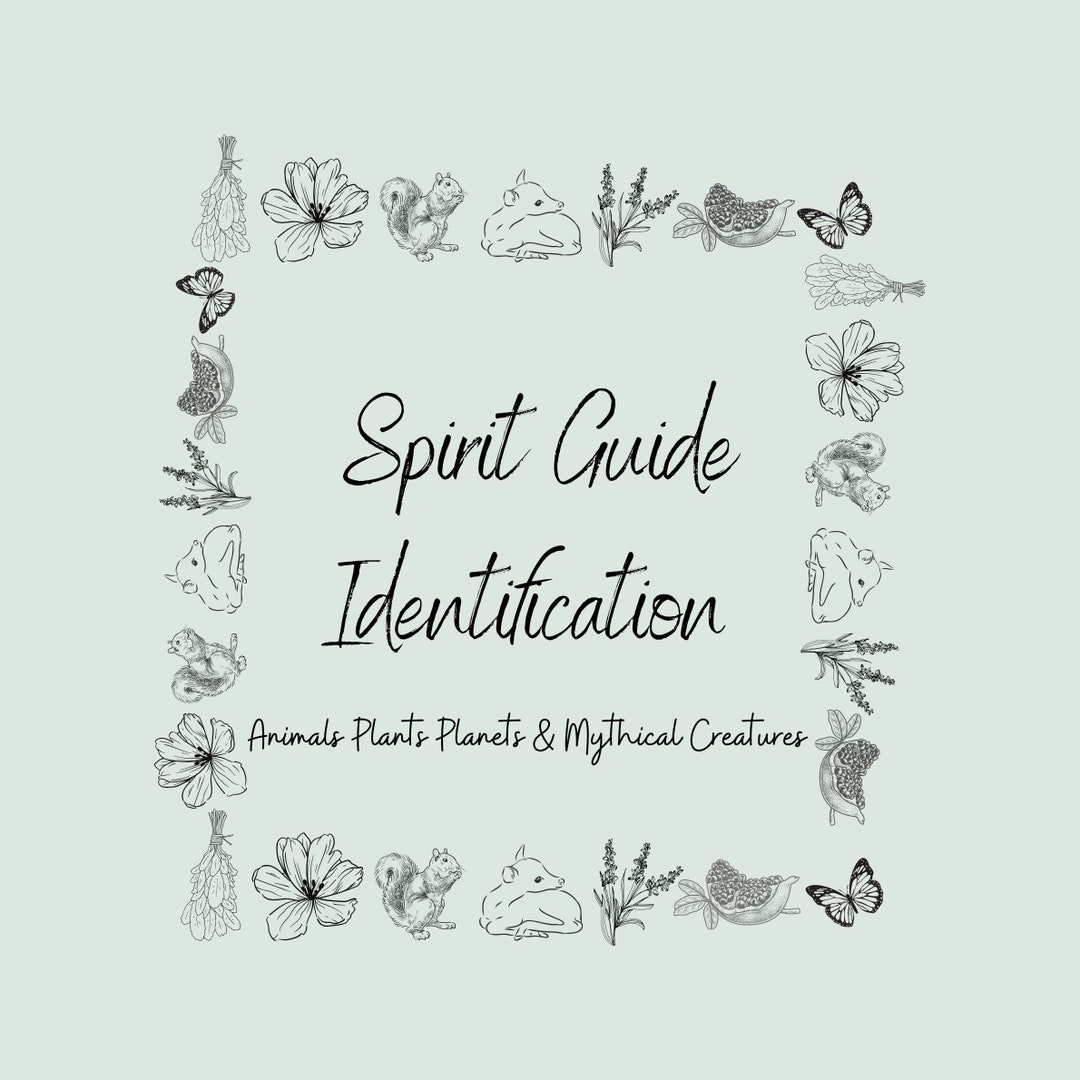 Spirit Guide Identification || Animal Spirit || Dragon Guide ...