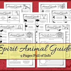 Basics of Witchcraft. Digital Grimoire Starter Kit for Any Book of ...