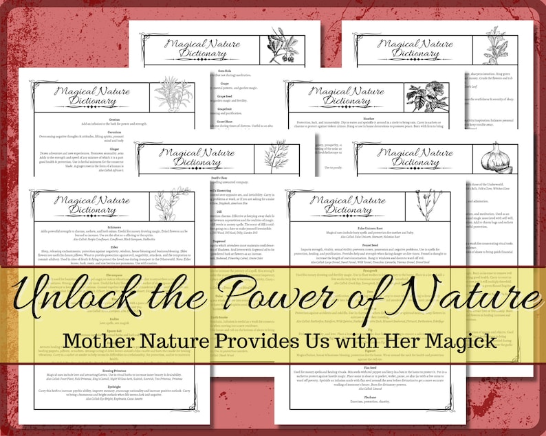 Magical Nature Dictionary Grimoire Guide - Etsy