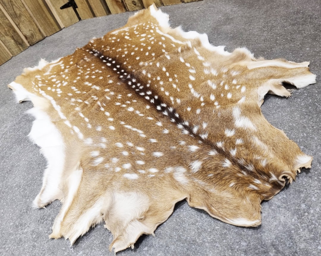 Premium Axis Deer Hide | Axis Deer Rug | Axis Deer Throw | Axis Deer Pelt - Etsy