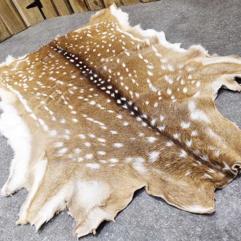 Deer Hide - Etsy