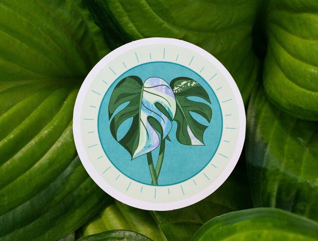 Painted Monstera Sticker | Monstera Deliciosa Variegated | Monstera ...