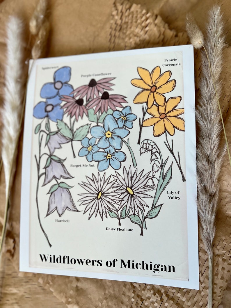 Wildflowers of Michigan Hand Drawn Print | Handmade Wildflower Art ...