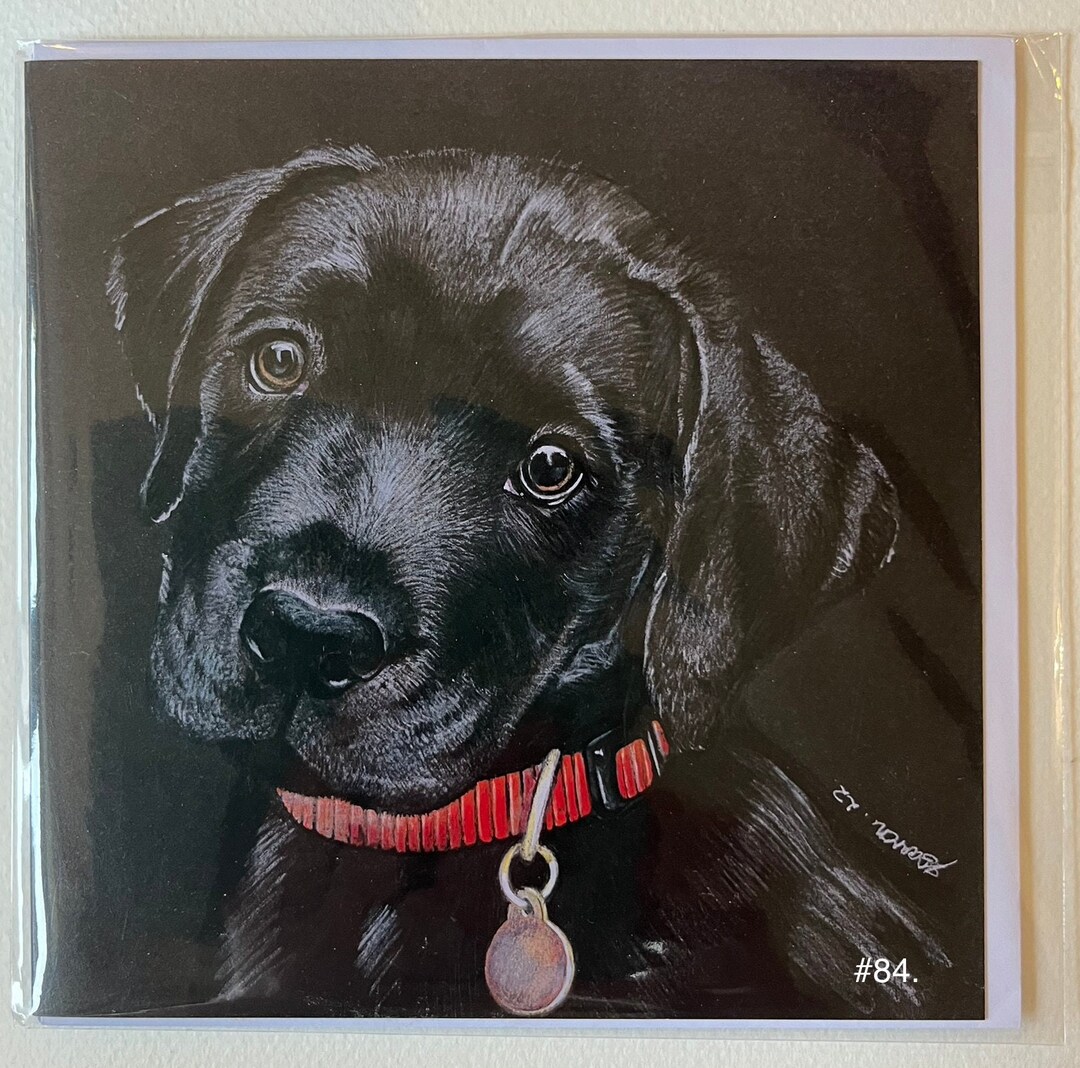 Labrador Puppy Greetings Card. 15cm X 15cm. Blank Inside. Print Taken ...