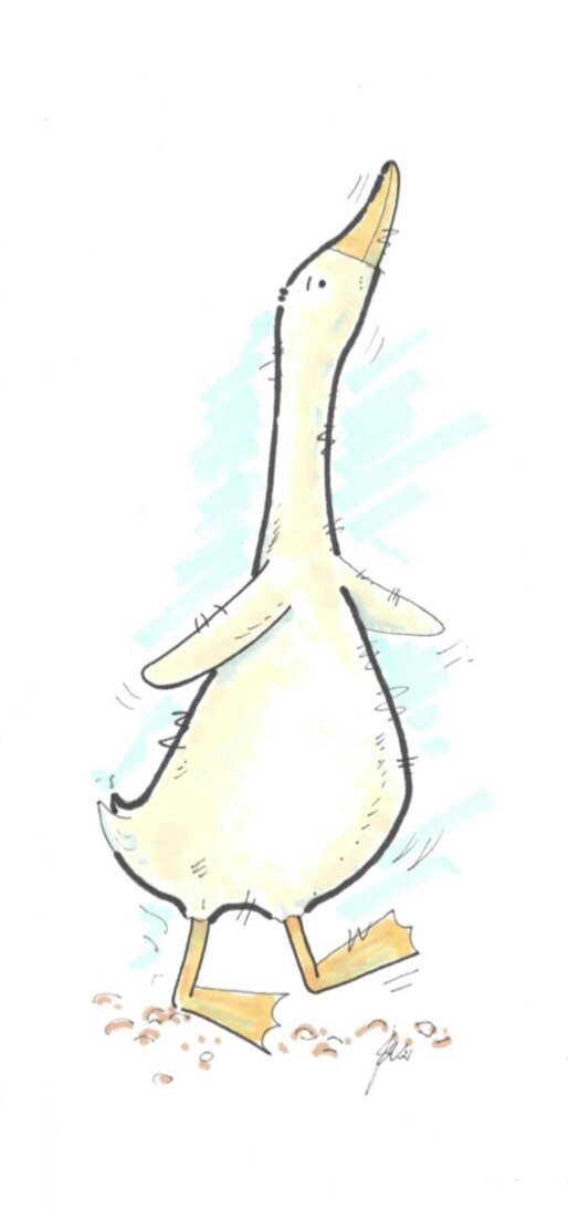 Runner Duck. Signed Print. - Etsy