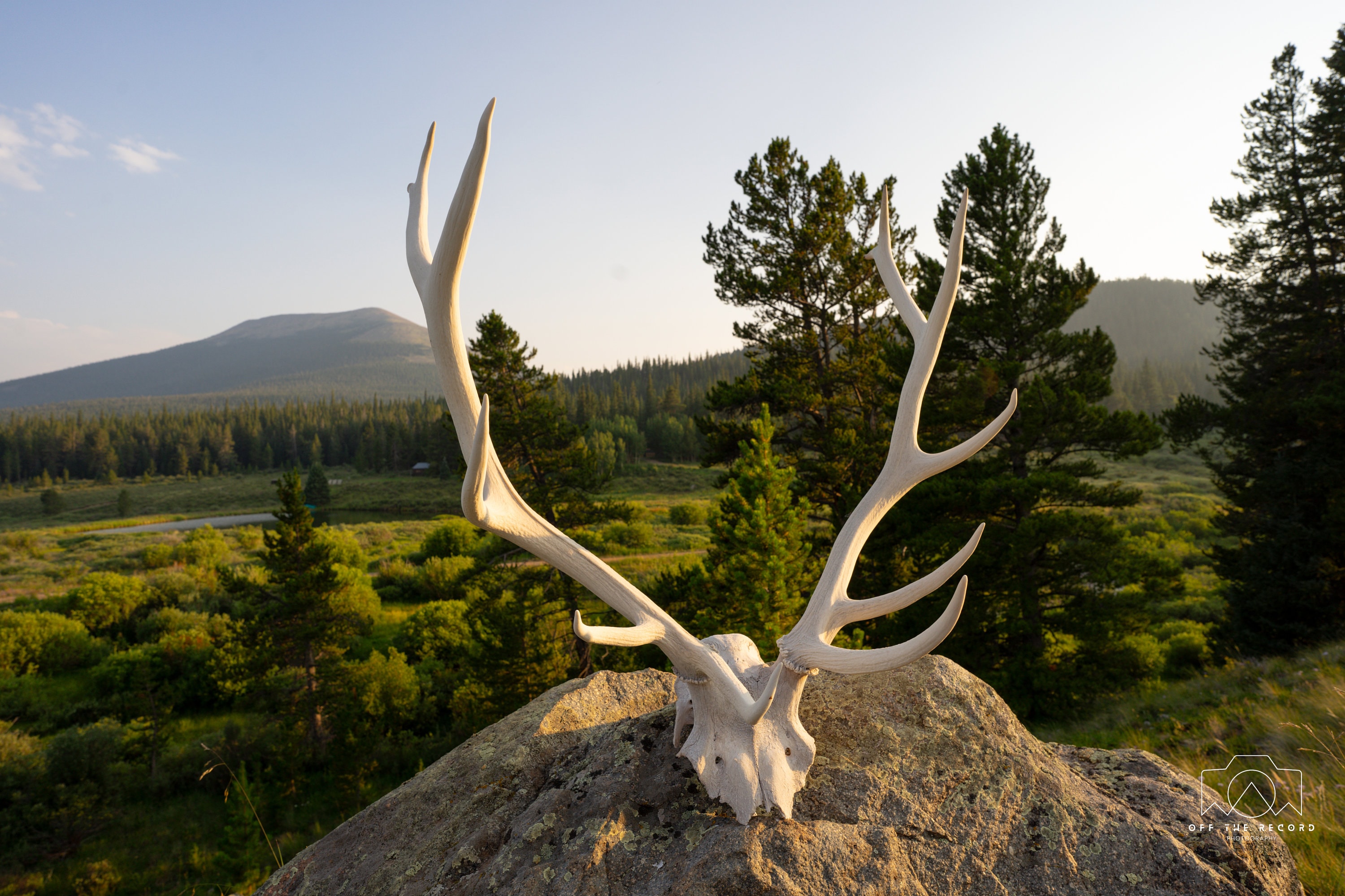 Rustic Antler Canvas Print: Colorado Mountain Landscape Photography - Etsy