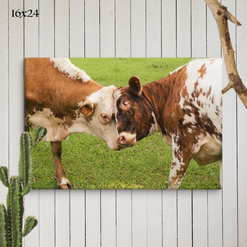 Cows in Love Canvas Print - Farmhouse Wall Art Decor - Etsy