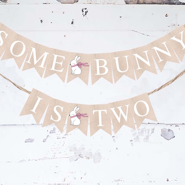 Bunny Birthday Party - Etsy