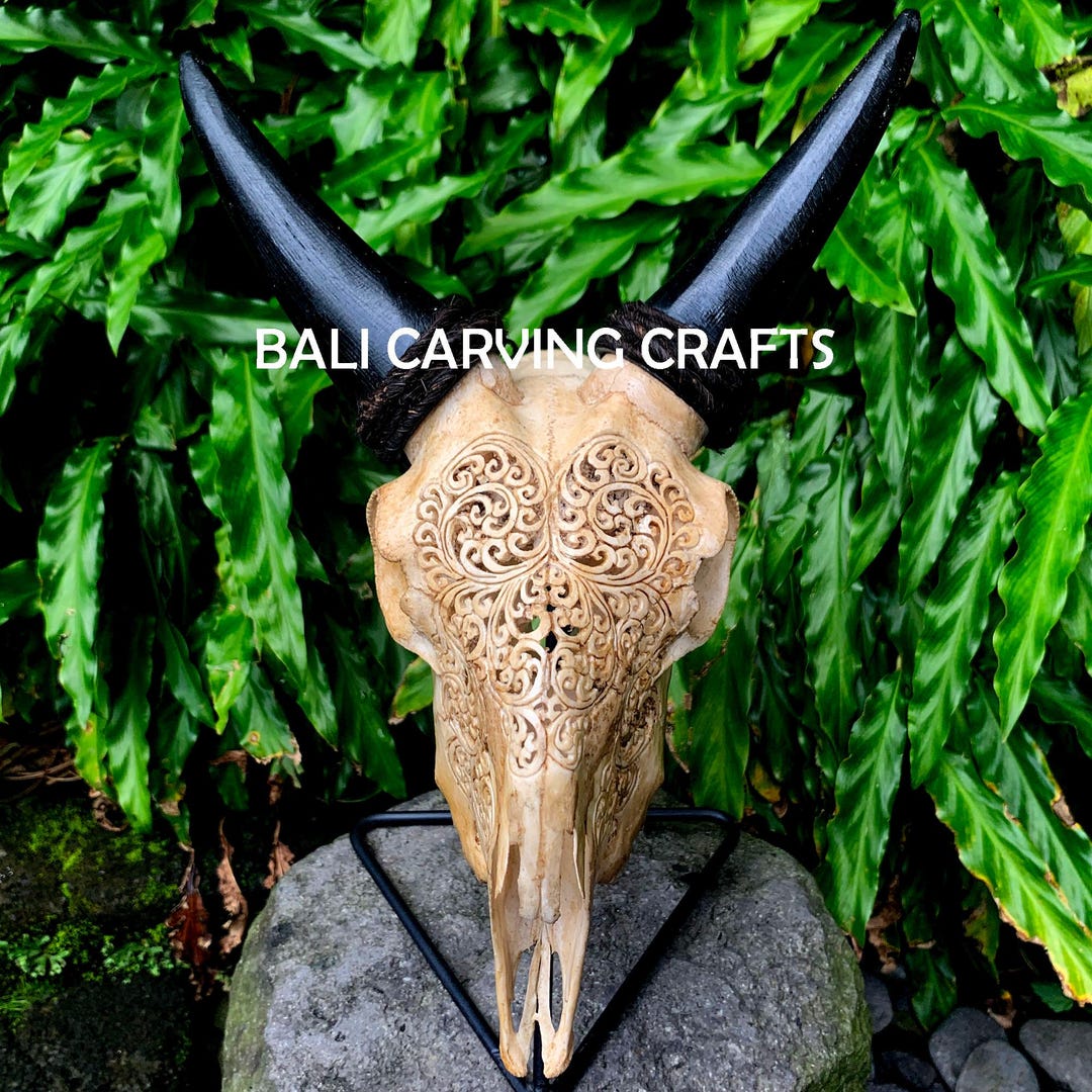 Carved Goat Skull, Original Goat Skull Tribal Carving - Etsy
