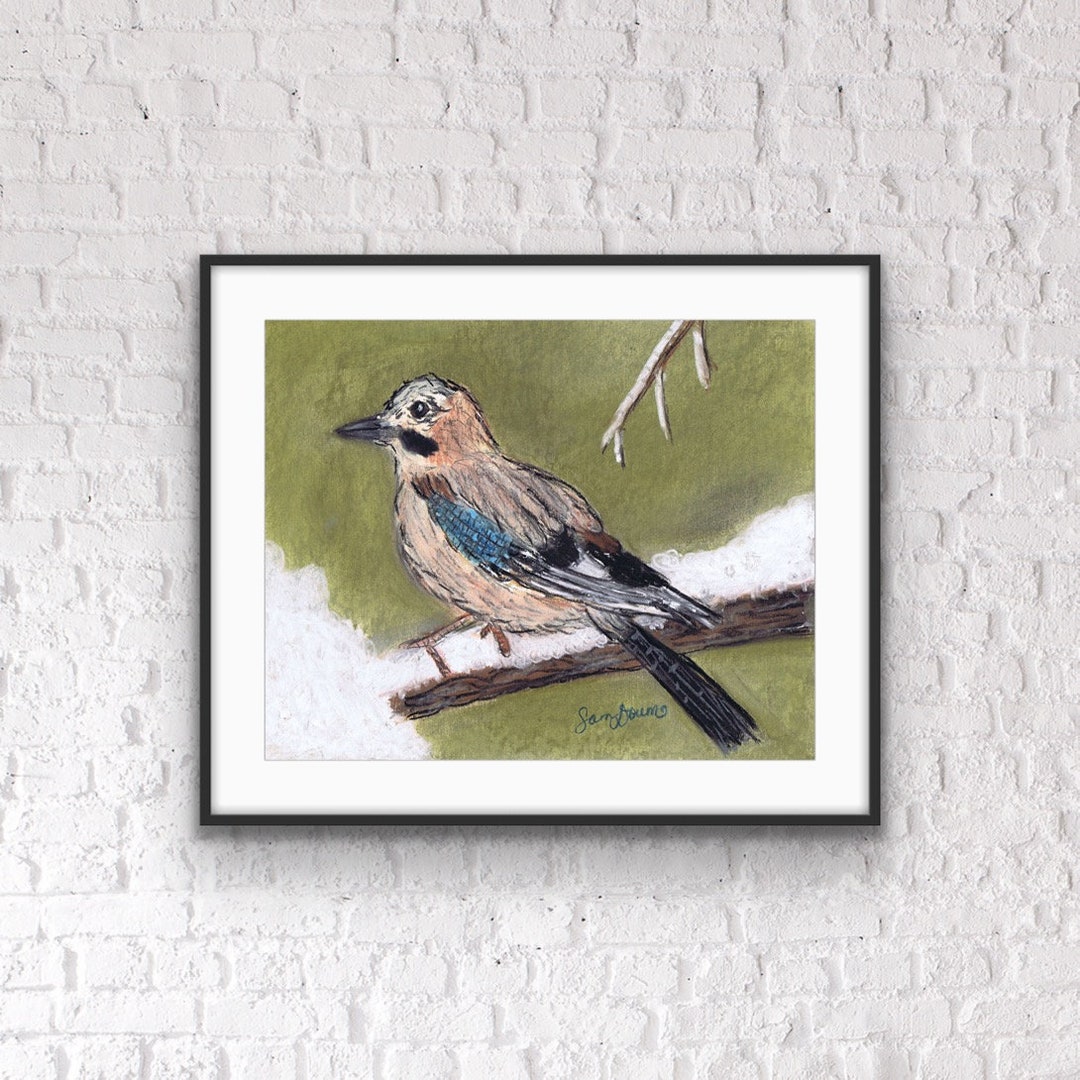 Jay Bird PRINT of My Original Pastel Bird Painting Art, Songbird ...