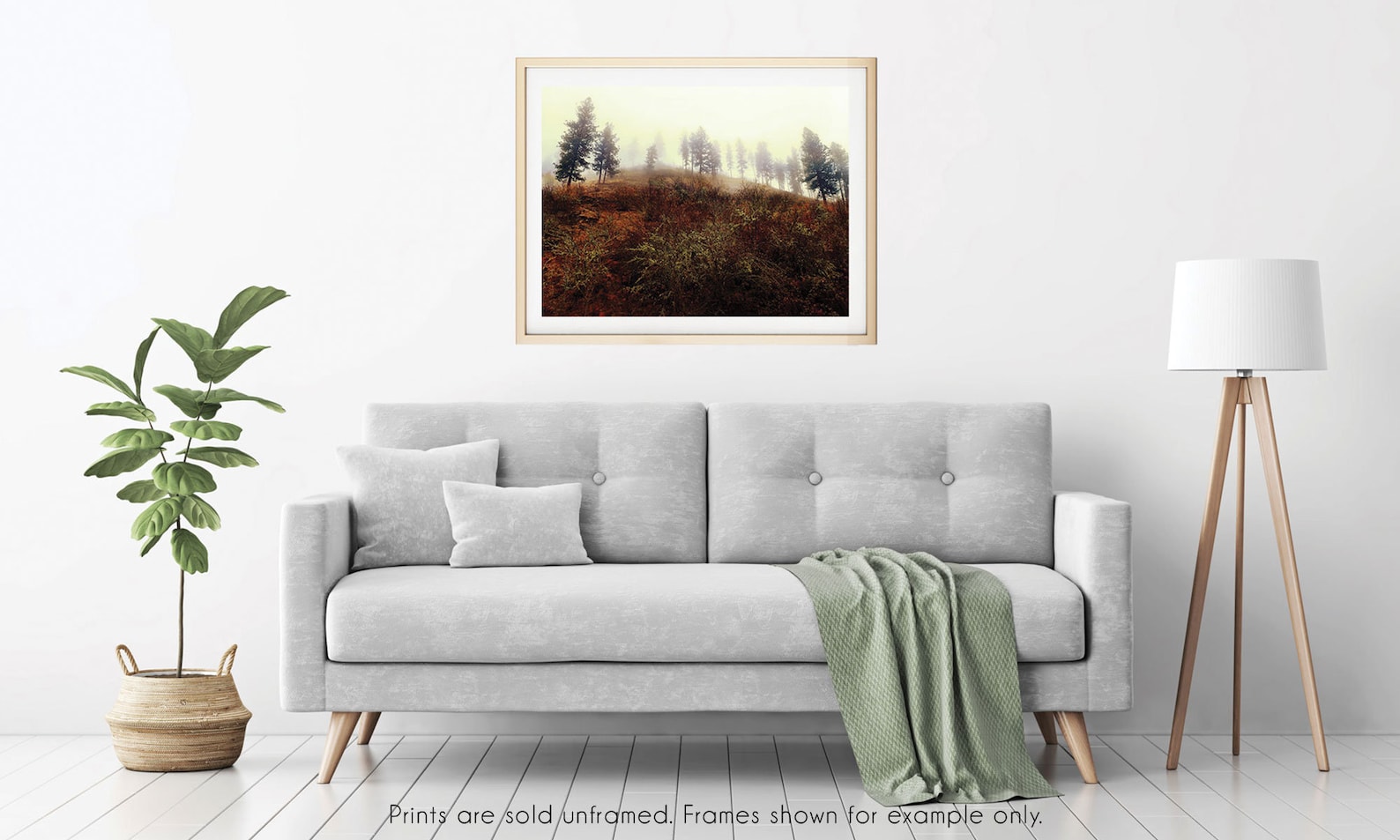 Landscape Photography, PNW Trees, Pacific Northwest Nature Photography ...