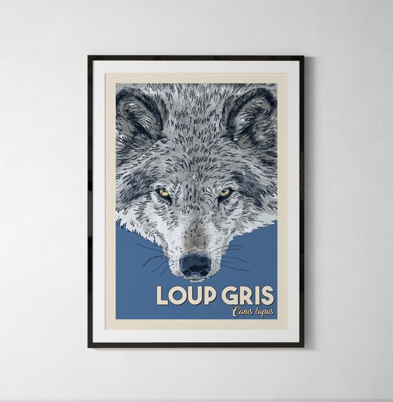 Grey Wolf Animal Illustration Naturalistic Poster Child | Etsy UK